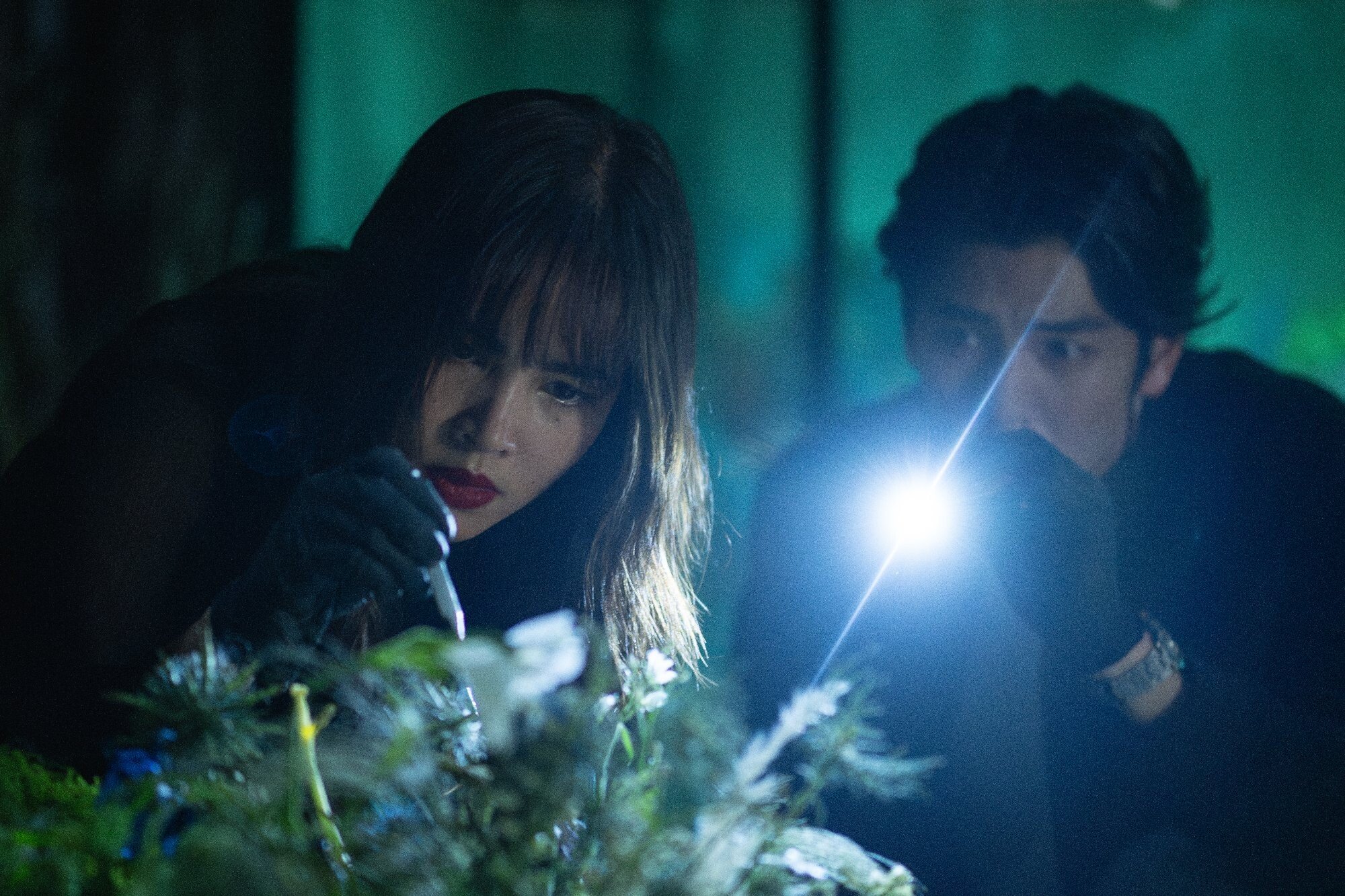 "Dalah: Śmierć i kwiaty", "Najpiękniejsza dziewczyna na świecie ...