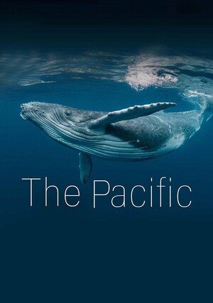 Serial Pacyfik (2020) - Gdzie obejrzeć | Netflix | Disney+ | Max ...
