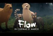 Film Flow (2024) - Gdzie obejrzeć | Netflix | Disney+ | HBO Max ...