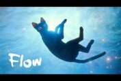 Film Flow (2024) - Gdzie obejrzeć | Netflix | Disney+ | HBO Max ...